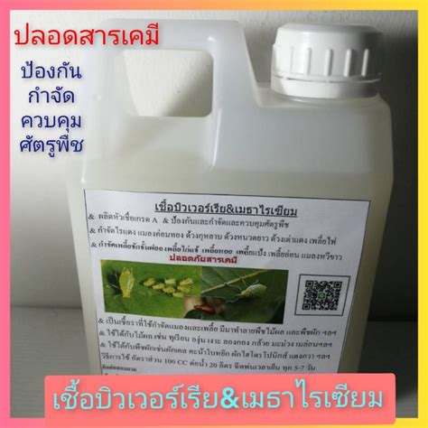 เชื้อบิวเวอร์เรียandเมธาไรเซียม ขนาด1ลิตร Shopee Thailand