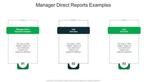 Direct Report Example Powerpoint Presentation And Slides Ppt Powerpoint Slideteam