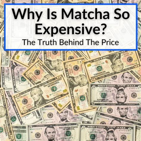 Why Is Matcha So Expensive The Truth Behind The Price