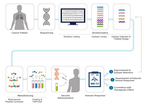 Custom Peptide Synthesis Enables Your Downstream Applications