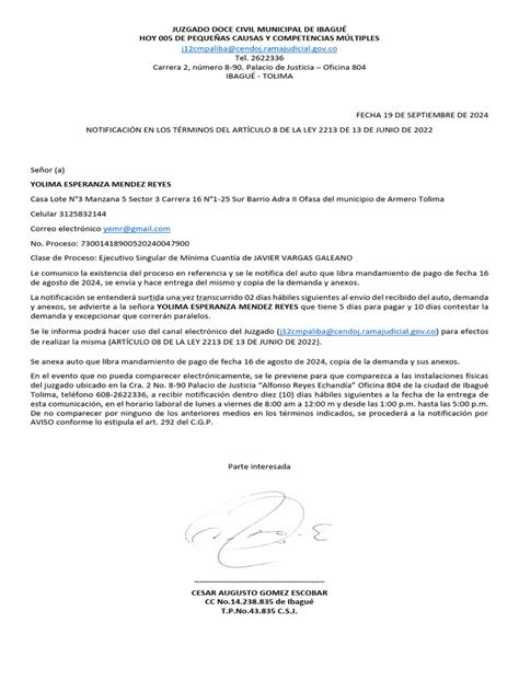 NotificaciÓn Por Correo Electronica Dda Javier Vargas Yolima Pdf