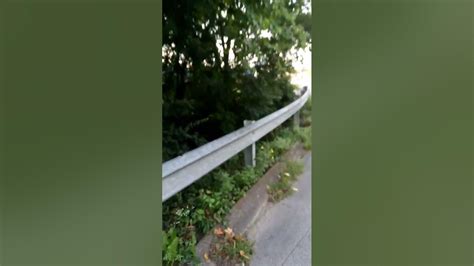 Tennessee Blogging Youtube