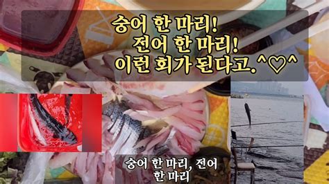 정말 숭어 한 마리 전어 한 마리 회가 이렇다고대단하네요♡ Youtube