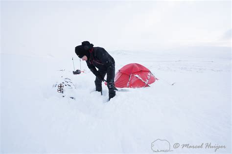 Marcel Huijser Photography The Making Of The Muskoxen Images Niels