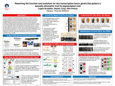 Resolving The Function And Evolution For Two Transcription Factor Gene