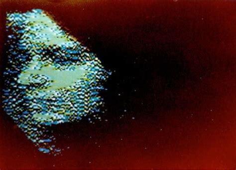 Laurie Spiegel Seth Cluett A Harmonic Algorithm Seth Cluett