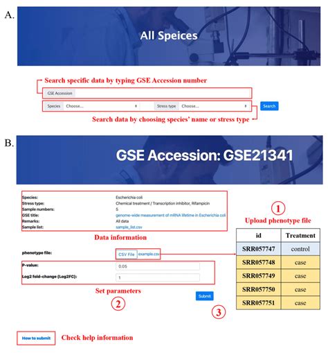 User Interface Of The Mip Mining Database A Select Search Methods On Download Scientific
