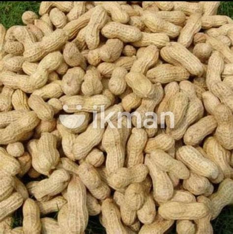 கசசன for Sale in Batticaloa City ikman