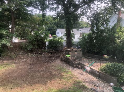 Tree Service In Madison CT Tree Trimming Removal