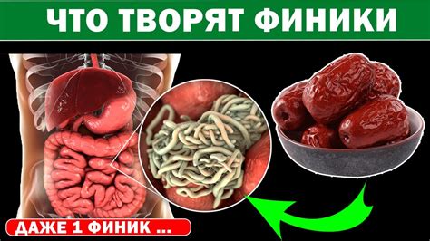 Многие едят ФИНИКИ, и даже не знают о пользе и вреде фиников ! В чем ...