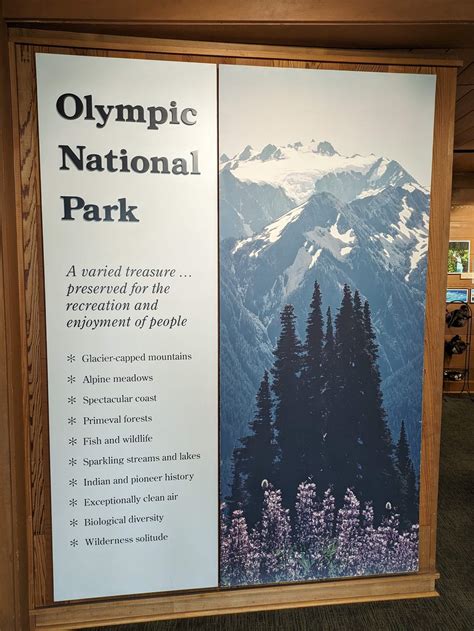 7 Notes On Visiting Olympic National Park