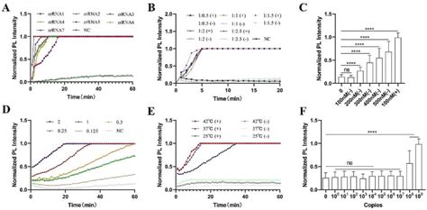 Development Of A Crispr Cas12a Based Fluorescent Detection Method Of Senecavirus A Pmc