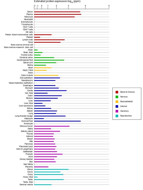 Cfb Gene Genecards Cfab Protein Cfab Antibody