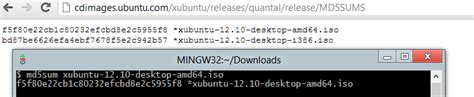 ubuntu with wubi tricking wubi into installing xubuntu 12 10