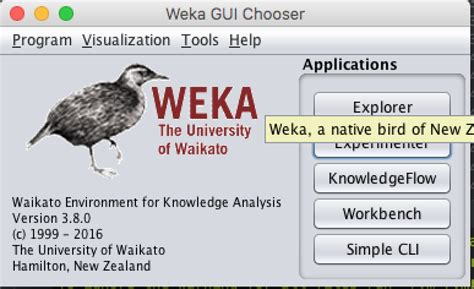 Weka More Than A Bird In New Zealand Jratzenboeck