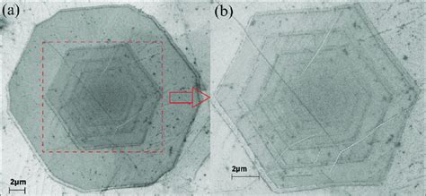 A Sem Image Of The Grain Having Bernal Stacking B Magnified Sem