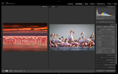 7 Best Photo Enhancer Software Compared And Reviewed Skylum Blog