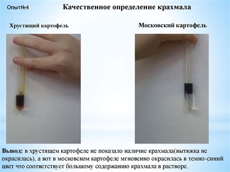 Исследование чипсов и кока колы Online Presentation