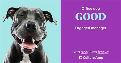 Whitney Brown On Linkedin Better Culture Better Bottom Line