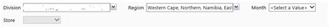 Reporting Services Ssrs Parameter Default Value Not Showing Correctly