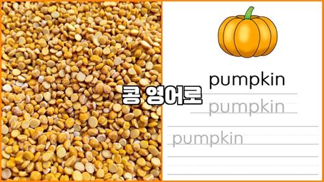 콩 영어로 이파크 콩 영어로 이파크