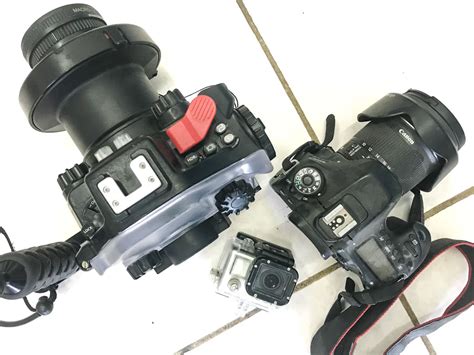 4 Easy Tips For Improving White Balance In Underwater Video