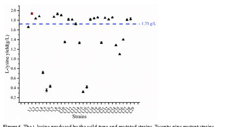 The L Lysine Produced By The Wild Type And Mutated Strains Twenty Nine