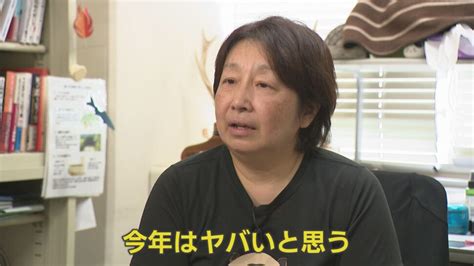 【専門家が警鐘】「今年はヤバい」ブナの実“凶作”でクマ出没増の恐れ「大声･走って逃げるは絶対ng」 新潟ニュース Nst