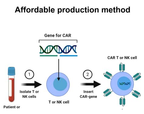 Chula Makes Progress In Car T Cell Therapy” Innovation Chulalongkorn