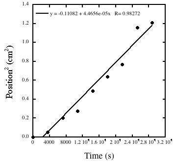 Diffusion Module