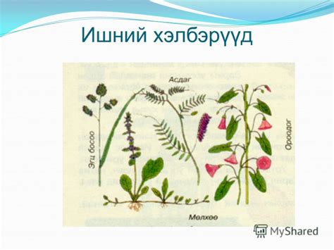 Презентация на тему 53 р Сургуулийн багш Ц Алтантуяа Бүрэлдүүлэх эд