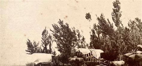 ارابه ها در جاده تهران به قزوین در اواخر دوره ناصرالدین شاه عکس