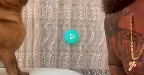 Thop It Album On Imgur