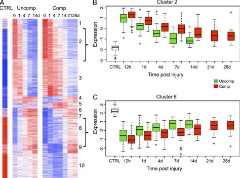A Genomic Storm Refining The Immune Inflammatory Paradigm In Trauma