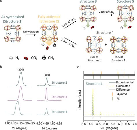 A Schematic Illustration Of Evolution Of Cau 10 Pdc Structure B