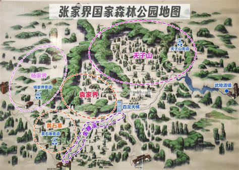 2025張家界國家森林公員遊玩攻略「附門票必玩景點天氣行程」張家界旅遊攻略驴妹妹旅行網