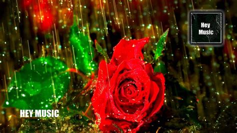 Relaxing Piano Music And Soothing Raindrops Background Youtube