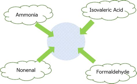 Adsorbents Agc Si Tech Coltd