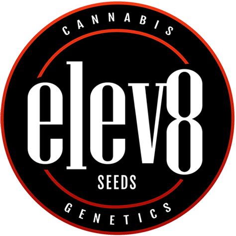 Elev8 Seeds Sour Patch Punch 6 Feminized Seeds Gaslamp Seeds