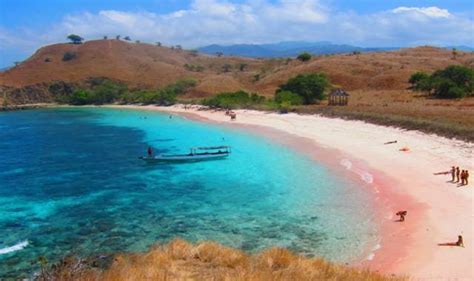 인도네시아 코모도섬 And 핑크비치 스노클링 투어