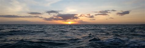 Openseas