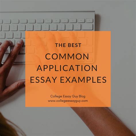 10 Outstanding Common App Essay Examples 2025 2026 Common App Essay