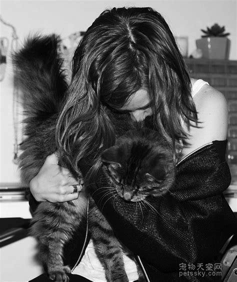 女孩与猫：女人和她们收养的猫咪（第二期） 第5页 宠物天空网