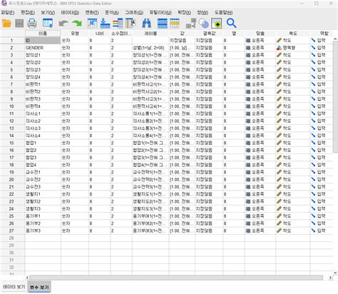 Spss 통계분석 2 Spss 프로그램 창 구성 및 변수 이름 만드는 방법과 주의사항