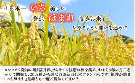 令和6年度産 福井県産新ブランド米 いちほまれ 5kg A 002025 福井県永平寺町 セゾンのふるさと納税