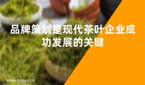 品牌策划是现代茶叶企业成功发展的关键 美御品牌策划 上海美御