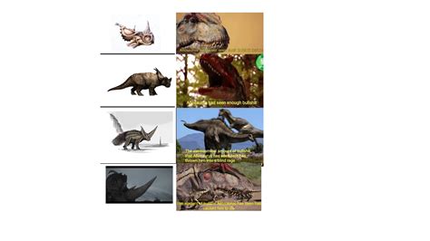 Allosaurus Had Never Seen Such Bs Before Pachyrhinosaurus Edition R