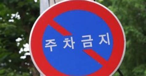가게 앞 횡단보도 불법주차 차주 애꿎은 가게 사장에게 딸아이도 가만 안 둬”
