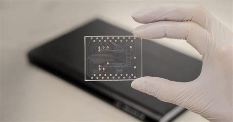 Exploring Microfluidic Devices How They Work And Their Different Types