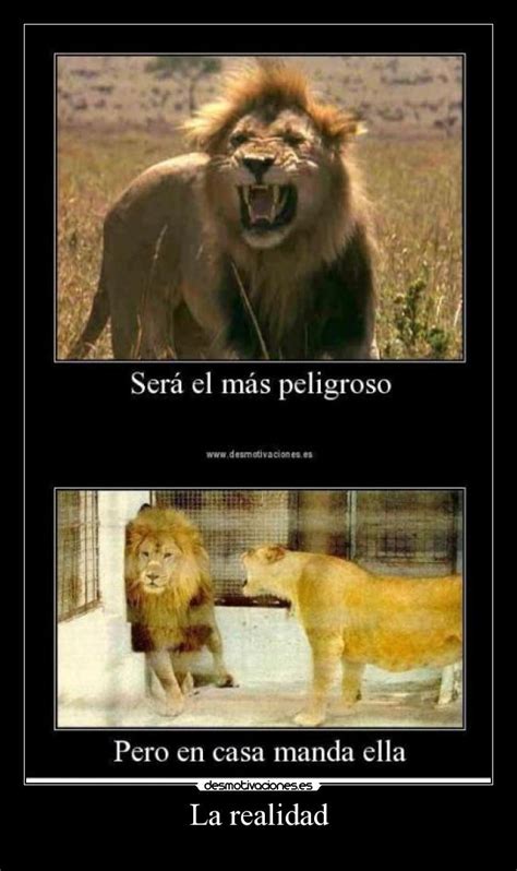 La Realidad Desmotivaciones
